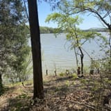 Lake Thom-a-Lex Nature Trail, North Carolina - 264 Reviews, Map | AllTrails