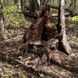 Lake Thom-a-Lex Nature Trail, North Carolina - 264 Reviews, Map | AllTrails