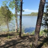 Lake Thom-a-Lex Nature Trail, North Carolina - 264 Reviews, Map | AllTrails