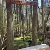Batsto Lake Trail, New Jersey - 1,583 Reviews, Map | AllTrails