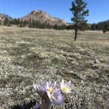 Greyrock Mountain via Greyrock and Greyrock Meadow Loop, Colorado ...