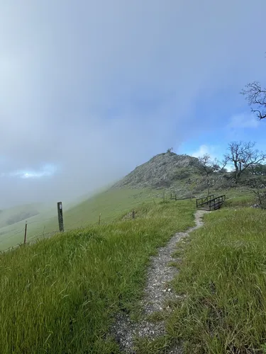 Best Hikes and Trails in Fremont Peak State Park | AllTrails