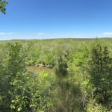 Raven Rock Loop Trail, North Carolina - 2,572 Reviews, Map | AllTrails