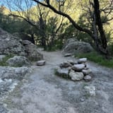 Hackberry Springs Loop, Arizona - 1,742 Reviews, Map | AllTrails