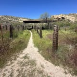 Hackberry Springs Loop, Arizona - 1,742 Reviews, Map | AllTrails