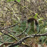 Point Defiance Park Outer Loop, Washington - 3,931 Reviews, Map | AllTrails