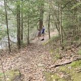 Douglas Forest Wallis Pond Loop Trail, Massachusetts - 929 Reviews, Map ...