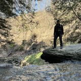 Fall Run Trail, Pennsylvania - 914 Reviews, Map | AllTrails