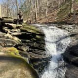 Fall Run Trail, Pennsylvania - 914 Reviews, Map | AllTrails