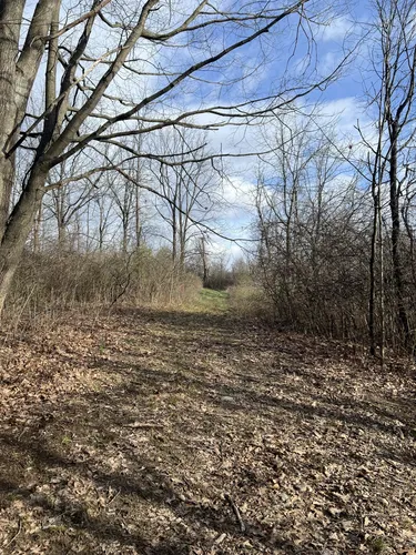 Best Forest Trails in Stewart State Forest | AllTrails