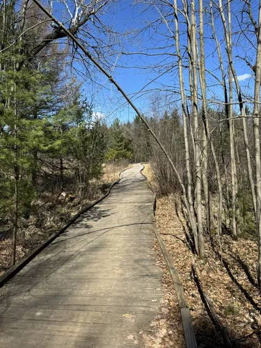 Best Trail Running Trails in Stevens Point | AllTrails