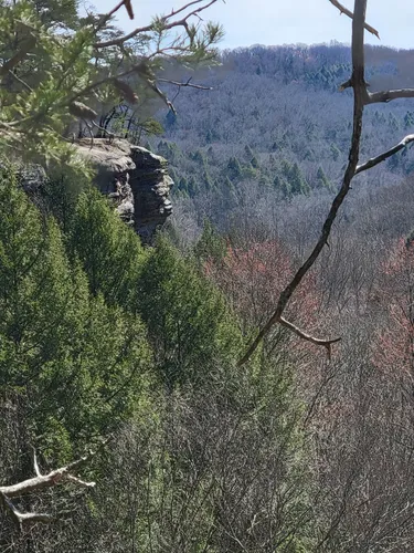 Best Views Trails in Hocking State Forest | AllTrails