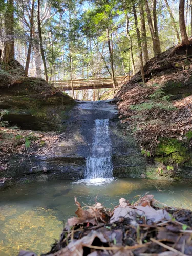 Best Views Trails in Hocking State Forest | AllTrails