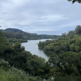 Lake Chabot Loop via West, Bass, Columbine, Honker, East Shore Trails ...