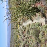 Dixie Mine, Arizona - 996 Reviews, Map | AllTrails