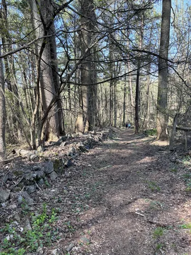 Best Lake Trails in Reading | AllTrails