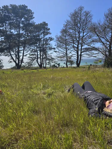 Best Views Trails in Fiscalini Ranch Preserve | AllTrails