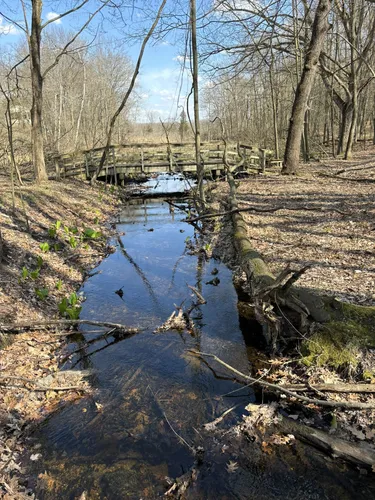 Best Wild Flowers Trails in Independence Oaks County Park | AllTrails