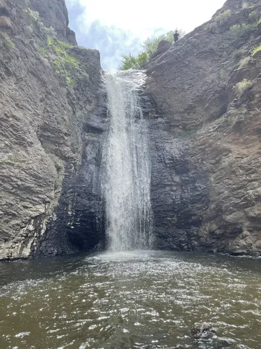 Best Dog Friendly Trails in Marsing | AllTrails