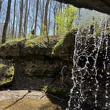 Violet and Louis Calli Nature Preserve, Indiana - 235 Reviews, Map ...
