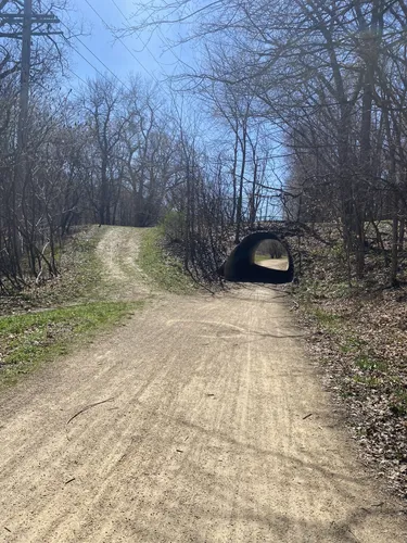 Best Trail Running Trails in Theodore Wirth Park | AllTrails