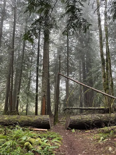 Best Views Trails in Dexter | AllTrails