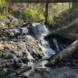 Mima Falls Loop, Washington - 1,594 Reviews, Map | AllTrails
