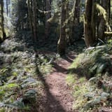 Mima Falls Loop, Washington - 1,594 Reviews, Map | AllTrails