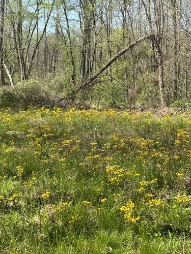 Best Hikes and Trails in Saint Anthony | AllTrails