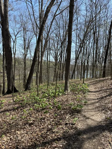 Best Hikes and Trails in Saint Anthony | AllTrails