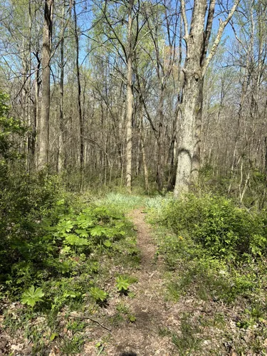 Best Hikes and Trails in Saint Anthony | AllTrails