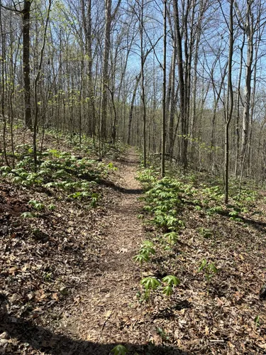 Best Hikes and Trails in Saint Anthony | AllTrails