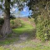 Northern State Recreation Area Loop, Washington - 578 Reviews, Map ...