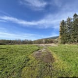 Northern State Recreation Area Loop, Washington - 578 Reviews, Map ...