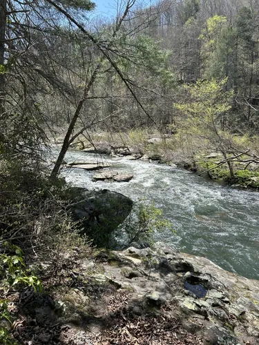 Best Waterfall Trails in Robbins | AllTrails