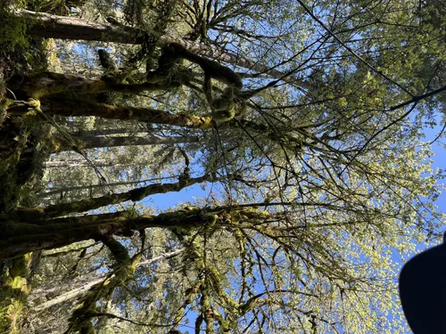 Best Beach Trails in Thetis Lake Regional Park | AllTrails