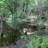 Spring Creek Nature Area Trail, Texas - 1,181 Reviews, Map | AllTrails