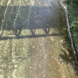 Spring Creek Nature Area Trail, Texas - 998 Reviews, Map | AllTrails