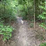 Spring Creek Nature Area Trail, Texas - 1,181 Reviews, Map | AllTrails