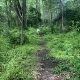 Spring Creek Nature Area Trail, Texas - 1,181 Reviews, Map | AllTrails