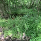 Spring Creek Nature Area Trail, Texas - 998 Reviews, Map | AllTrails