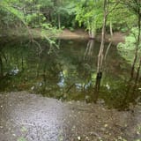 Spring Creek Nature Area Trail, Texas - 1,207 Reviews, Map | AllTrails