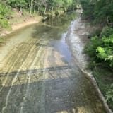 Spring Creek Nature Area Trail, Texas - 998 Reviews, Map | AllTrails