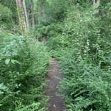 Spring Creek Nature Area Trail, Texas - 1,207 Reviews, Map | AllTrails