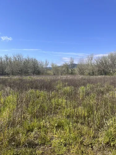 Best Hikes and Trails in Jackson Frazier Wetland | AllTrails