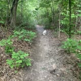 Spring Creek Nature Area Trail, Texas - 1,207 Reviews, Map | AllTrails