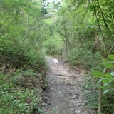 Spring Creek Nature Area Trail, Texas - 1,207 Reviews, Map | AllTrails