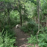 Spring Creek Nature Area Trail, Texas - 1,207 Reviews, Map | AllTrails
