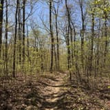 King's Bluff Loop Trail, Arkansas - 373 Reviews, Map | AllTrails
