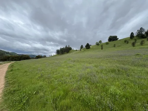 Best Mountain Biking Trails in Cronan Ranch Regional Trails Park ...